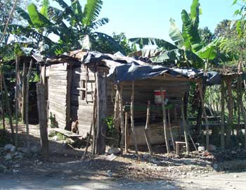 Siden sidst januar - Søren og Lise i Honduras 2005-2006